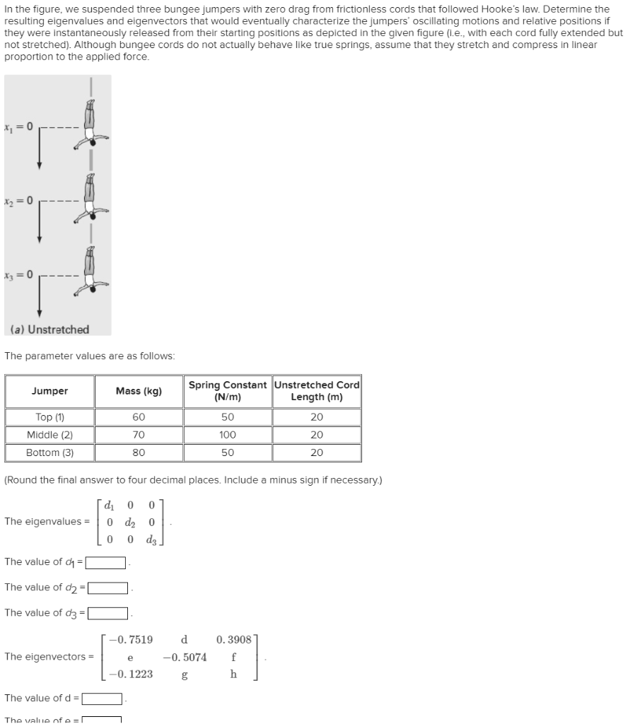 In the figure, we suspended three bungee jumpers with | Chegg.com