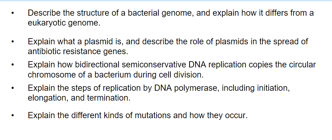 [Solved]: - Describe the structure of a bacterial genome, a