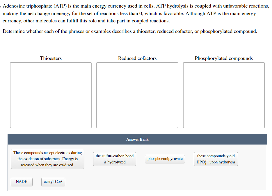 Solved Adenosine triphosphate (ATP) is the main energy | Chegg.com