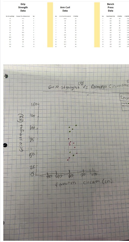 Solved please redo this graph I have. Do not say how to redo | Chegg.com