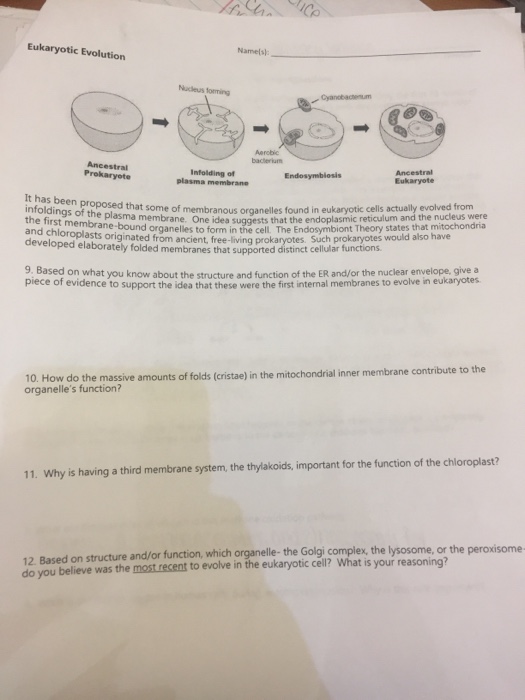 Biology Archive | October 22, 2017 | Chegg.com