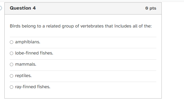 Solved Question 4 O pts Birds belong to a related group of | Chegg.com