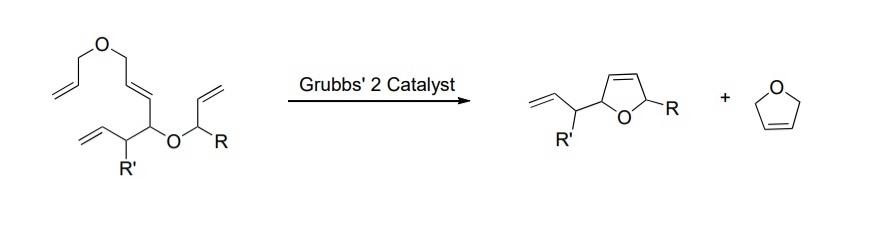 Solved Grubbs' 2 Catalyst 0 0 + R R R R' | Chegg.com