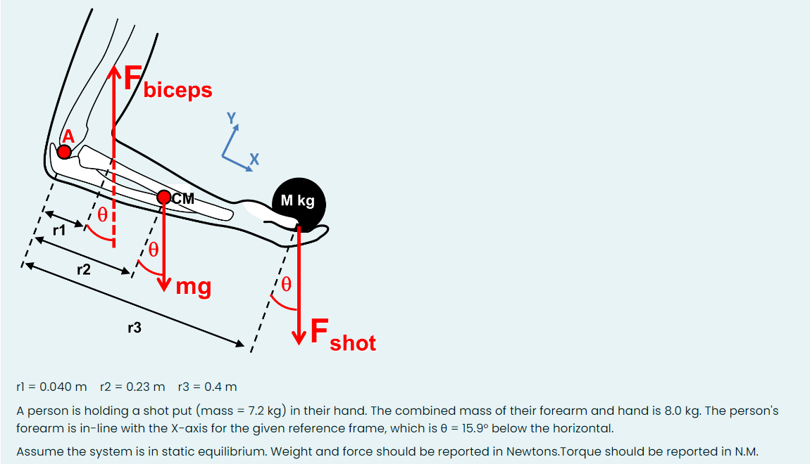 Solved What is the component of the joint reaction force | Chegg.com
