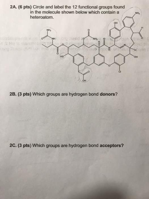Solved Circle and label the 12 functional groups found in | Chegg.com