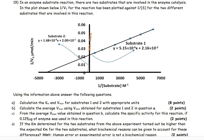 Solved 19) In an enzyme substrate reaction, there are two | Chegg.com