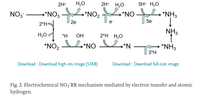 Solved How is nitrate reduced to ammonia (NH3)? Please | Chegg.com