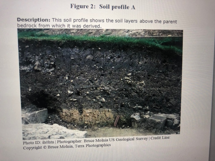 Solved Identify the different soil horizons in these two | Chegg.com