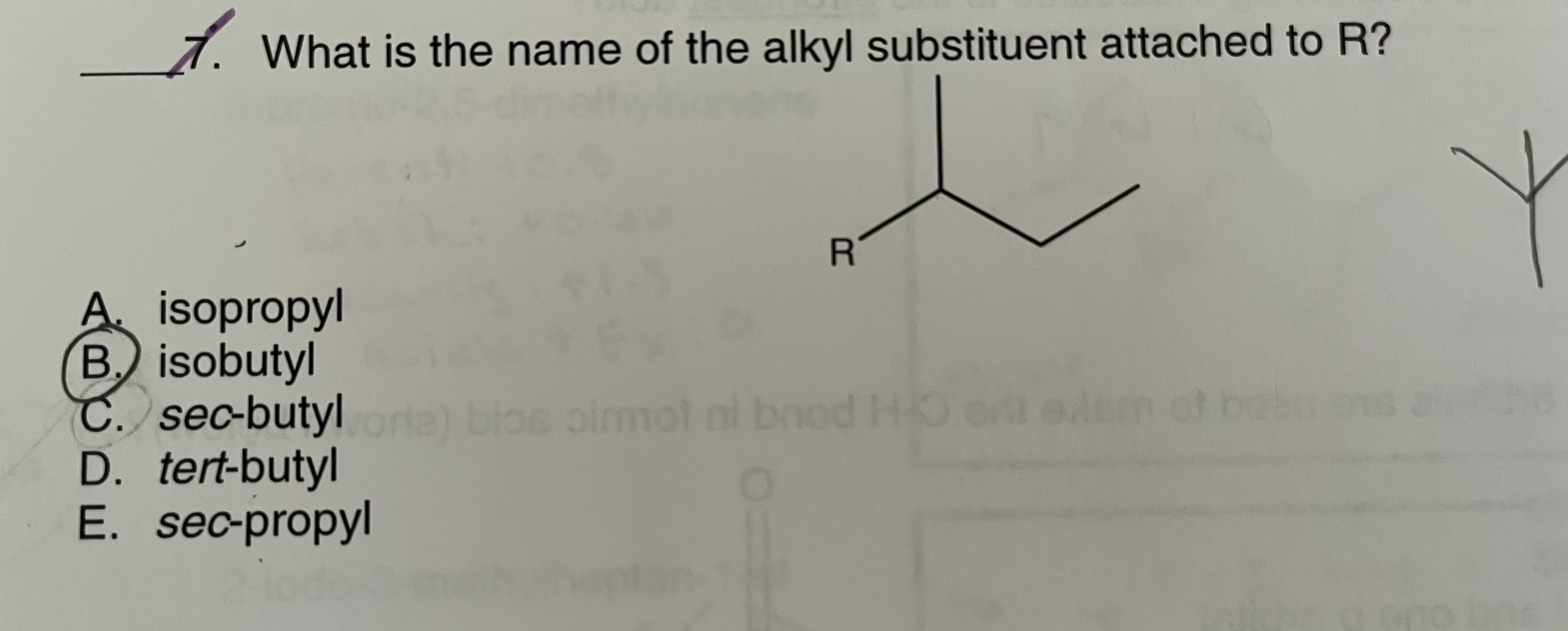 Solved 7. What is the name of the alkyl substituent attached | Chegg.com