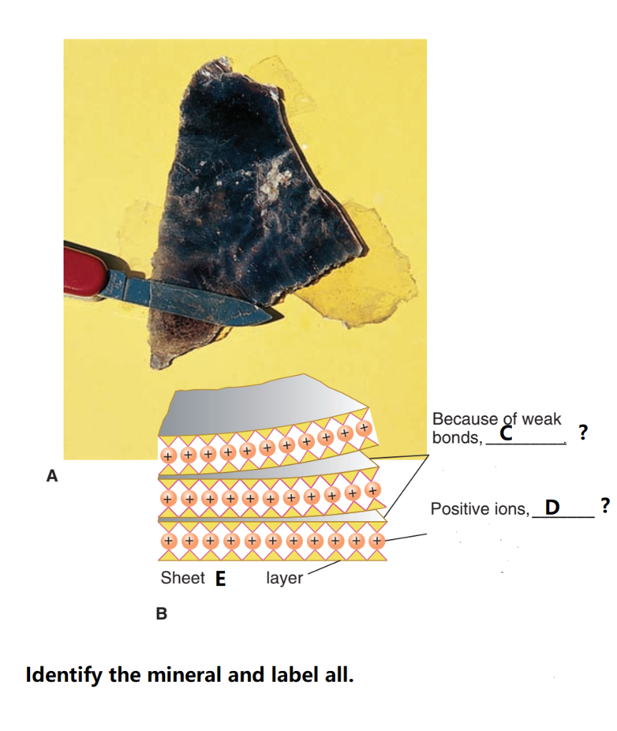 Solved Because of weak bonds, ? + + + + + А + + + + + + + + | Chegg.com