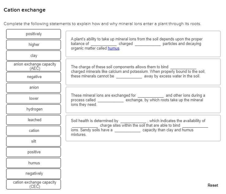 Solved Cation exchange Complete the following statements to | Chegg.com
