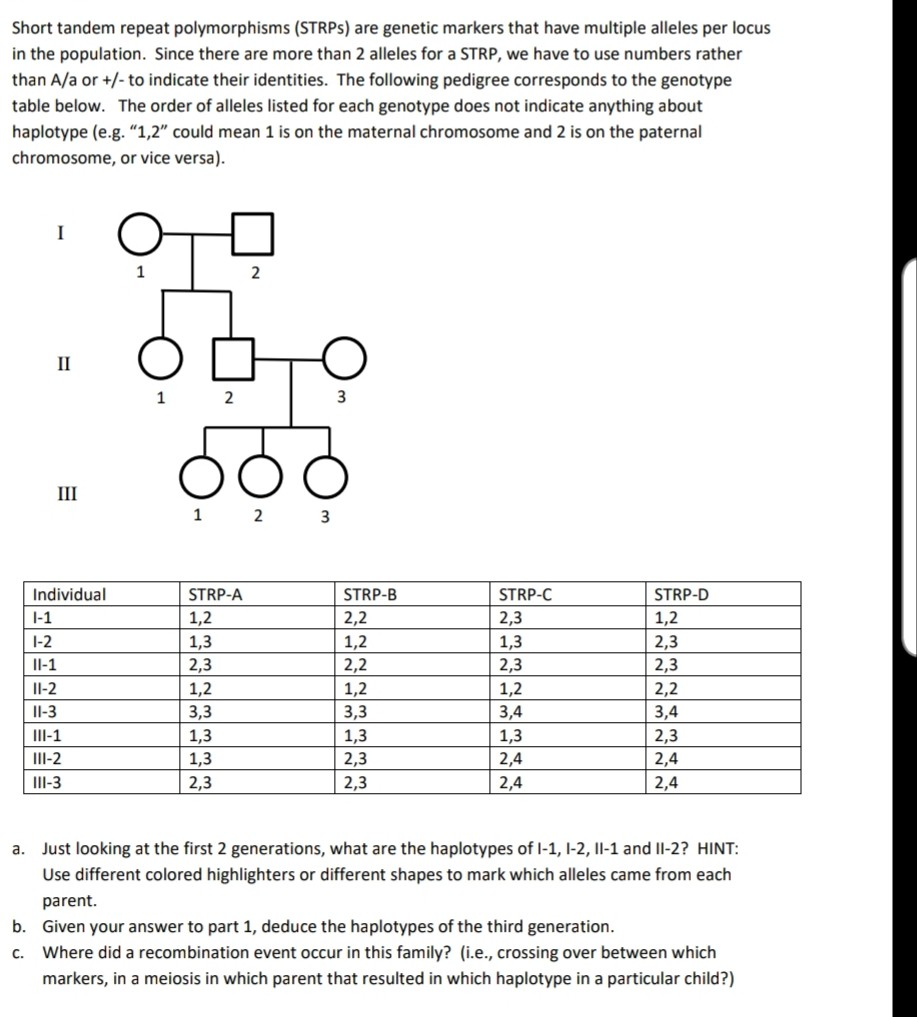 Solved Short tandem repeat polymorphisms (STRPs) are genetic | Chegg.com