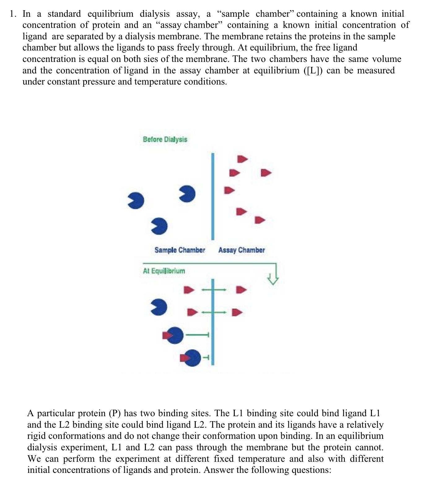 Solved 1. In a standard equilibrium dialysis assay, a | Chegg.com