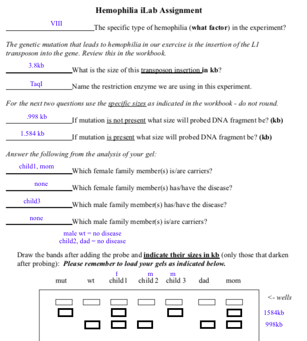 Solved Hemophilia iLab Assignment VIII _The specific type of | Chegg.com