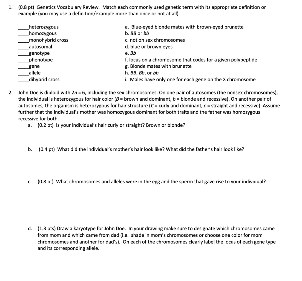 Solved 1. (0.8 pt) Genetics Vocabulary Review. Match each | Chegg.com