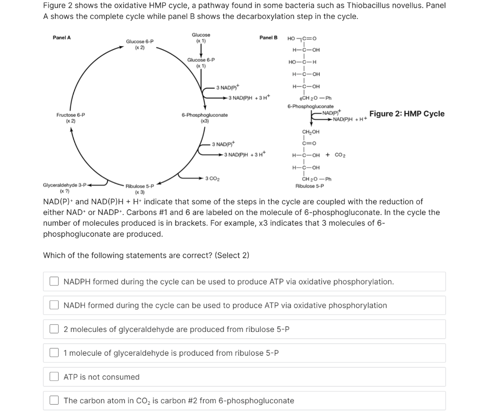 Solved Figure 2 shows the oxidative HMP cycle, a pathway | Chegg.com