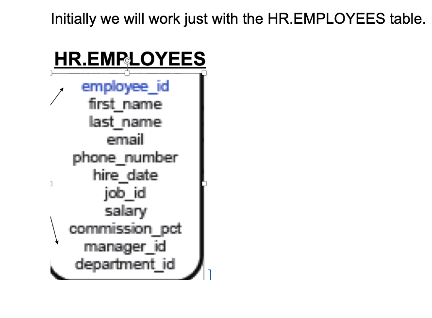 Solved 1. ﻿Create a report to display/output the | Chegg.com