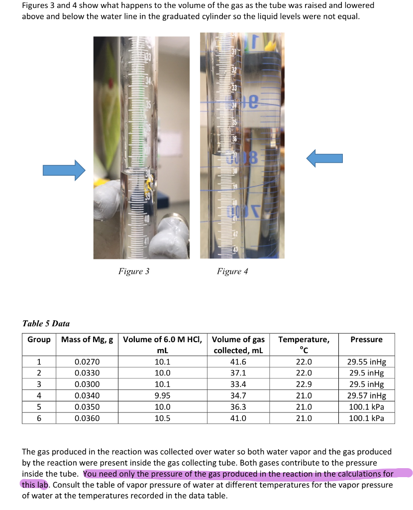 Solved Background The gas producing reaction was carried out | Chegg.com