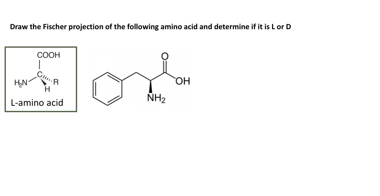 Solved Draw the Fischer projection of the following amino | Chegg.com