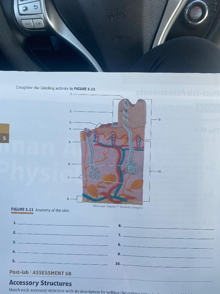 Solved Complete the labeling activity in FIGURE 5.13. FIGURE | Chegg.com