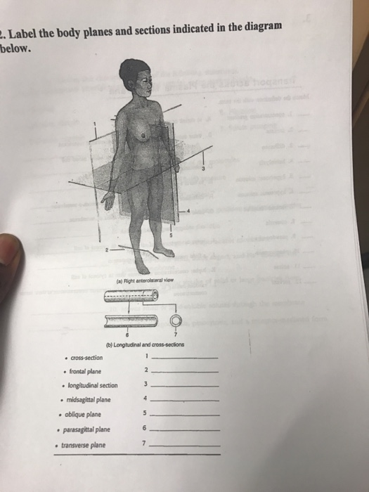 Biology Archive | March 25, 2017 | Chegg.com