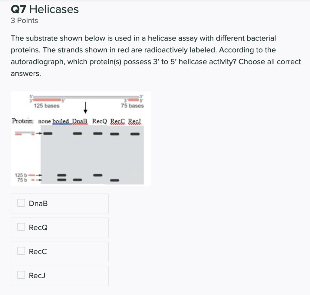 Solved Q7 Helicases 3 Points The substrate shown below is | Chegg.com