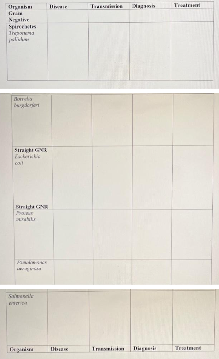 Solved Curved GNR Campylobacter jejumi Gram Negative Cocci | Chegg.com