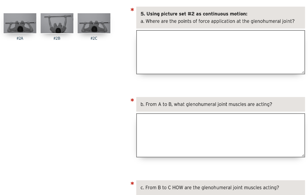Solved 5. Using picture set #2 as continuous motion: a. | Chegg.com
