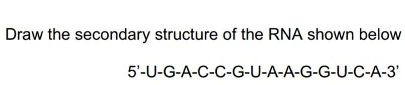 Solved Draw the secondary structure of the RNA shown below | Chegg.com