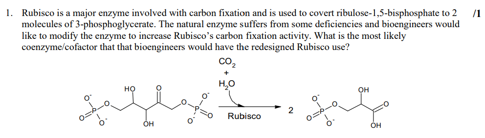 Solved /1 1. Rubisco is a major enzyme involved with carbon | Chegg.com