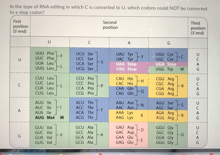 Solved The diagram shown here is part of an RNA transcript | Chegg.com