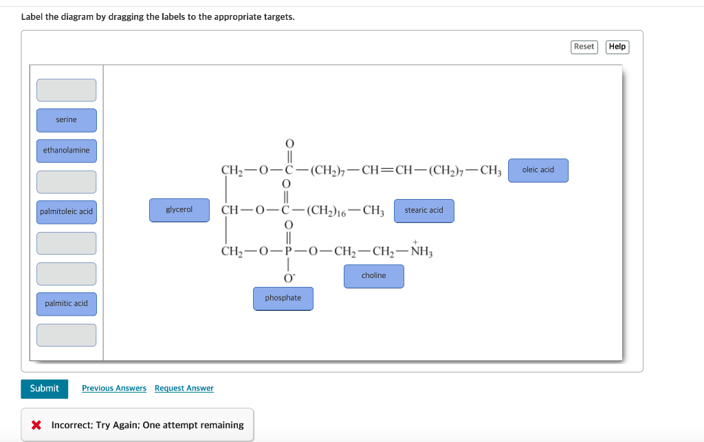 Solved Identify its components. Label the diagram by | Chegg.com