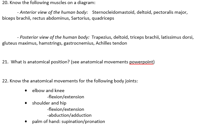 Solved 20. Know the following muscles on a diagram: - | Chegg.com