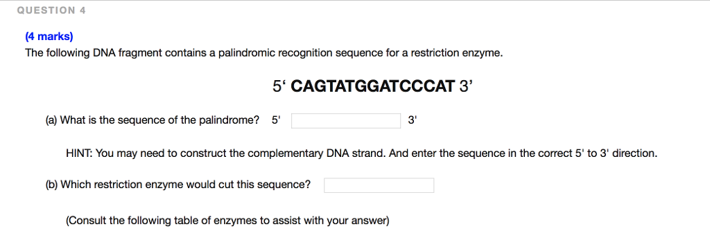 Solved QUESTION 4 (4 marks) The following DNA fragment | Chegg.com