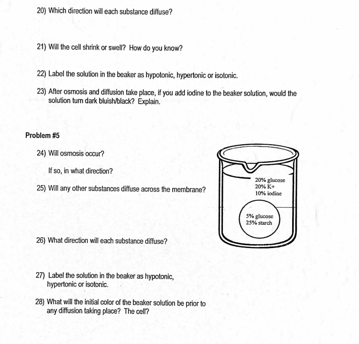 Solved Diffusion and Osmosis DIRECTIONS: Answer each | Chegg.com