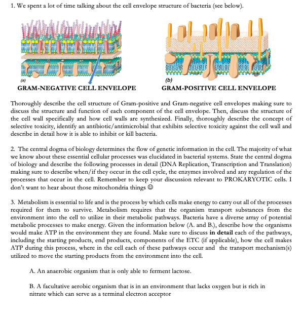 Solved 1. We spent a lot of time talking about the cell | Chegg.com