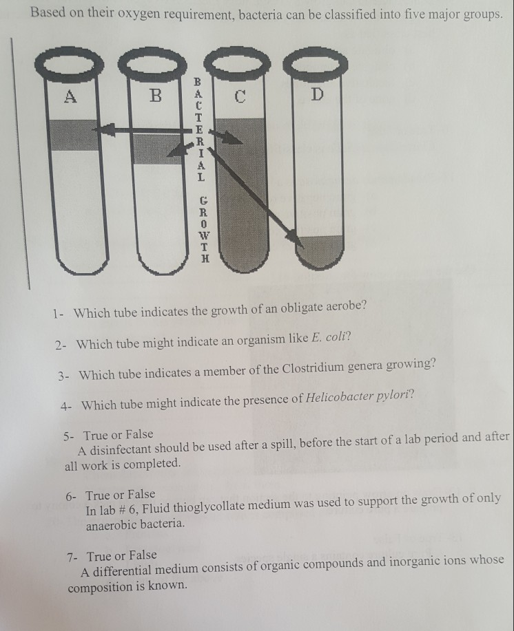 Solved Based on their oxygen requirement, bacteria can be | Chegg.com