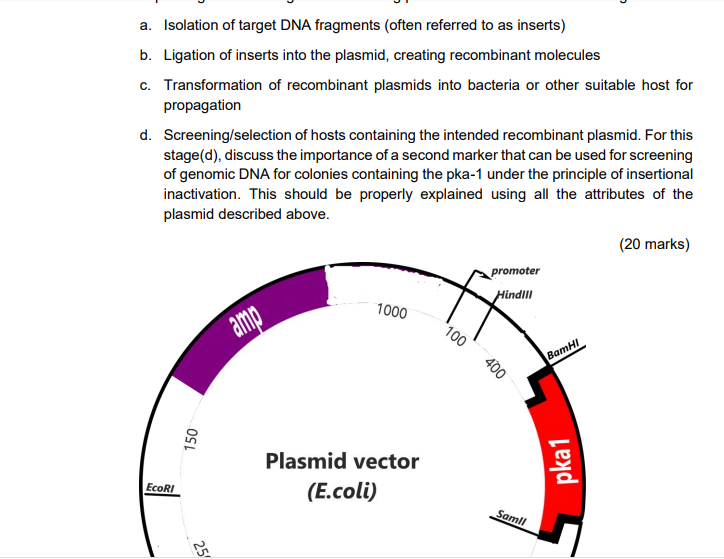 Solved 4. A microbiologist performed a cloning experiment | Chegg.com