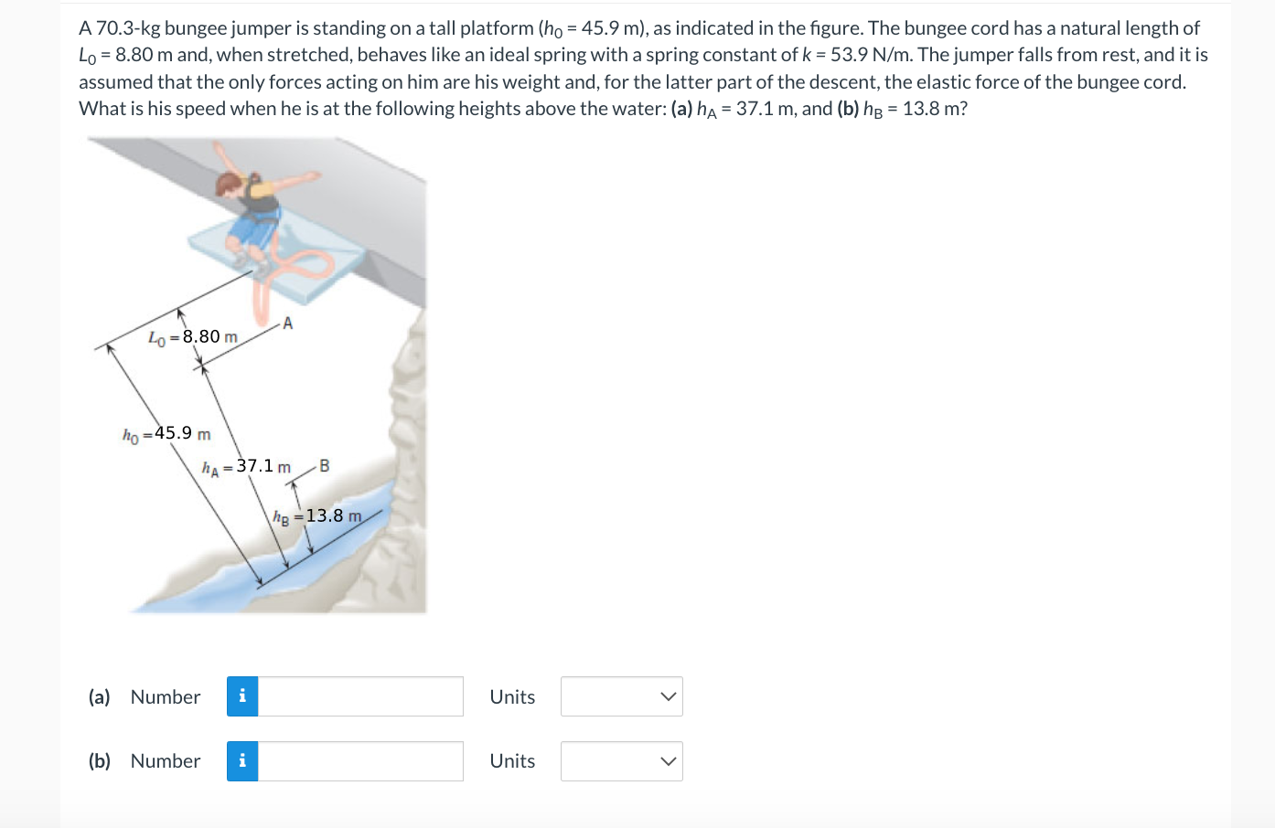 Solved A 70.3-kg bungee jumper is standing on a tall | Chegg.com