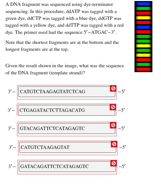 Solved A DNA fragment was sequenced using dye-terminator | Chegg.com
