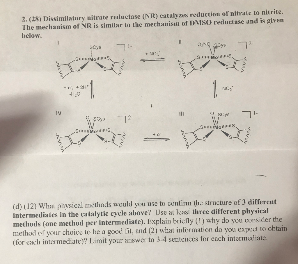 2. (28) Dissimilatory nitrate reductase (NR) | Chegg.com