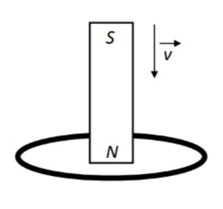 Solved A magnet is dropped from above and falls through a | Chegg.com
