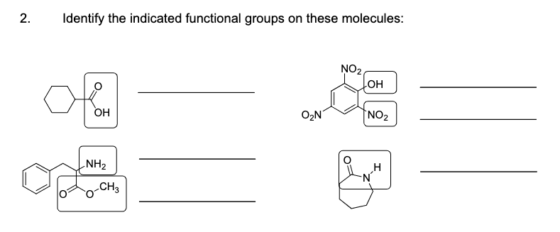Solved 2. Identify the indicated functional groups on these | Chegg.com Solved 2. Identify the indicated functional groups on these | Chegg.com