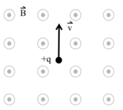 Solved A positively charged particle has velocity v in a | Chegg.com
