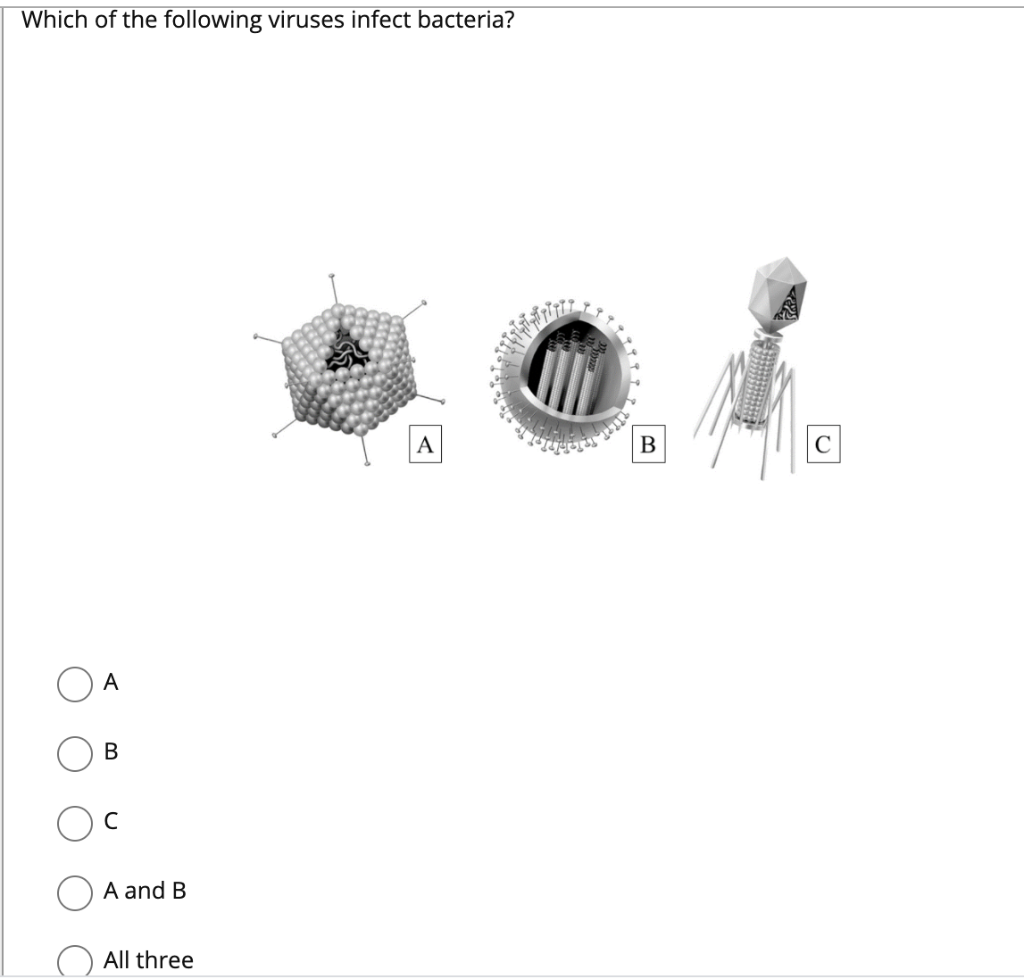 Solved The picture below shows bacteria in association | Chegg.com
