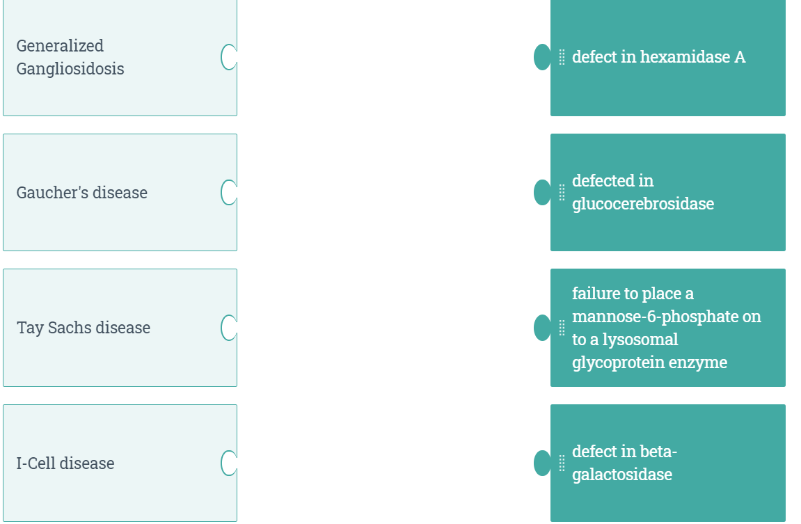 Solved Sphingosine question How are sphingosines different | Chegg.com