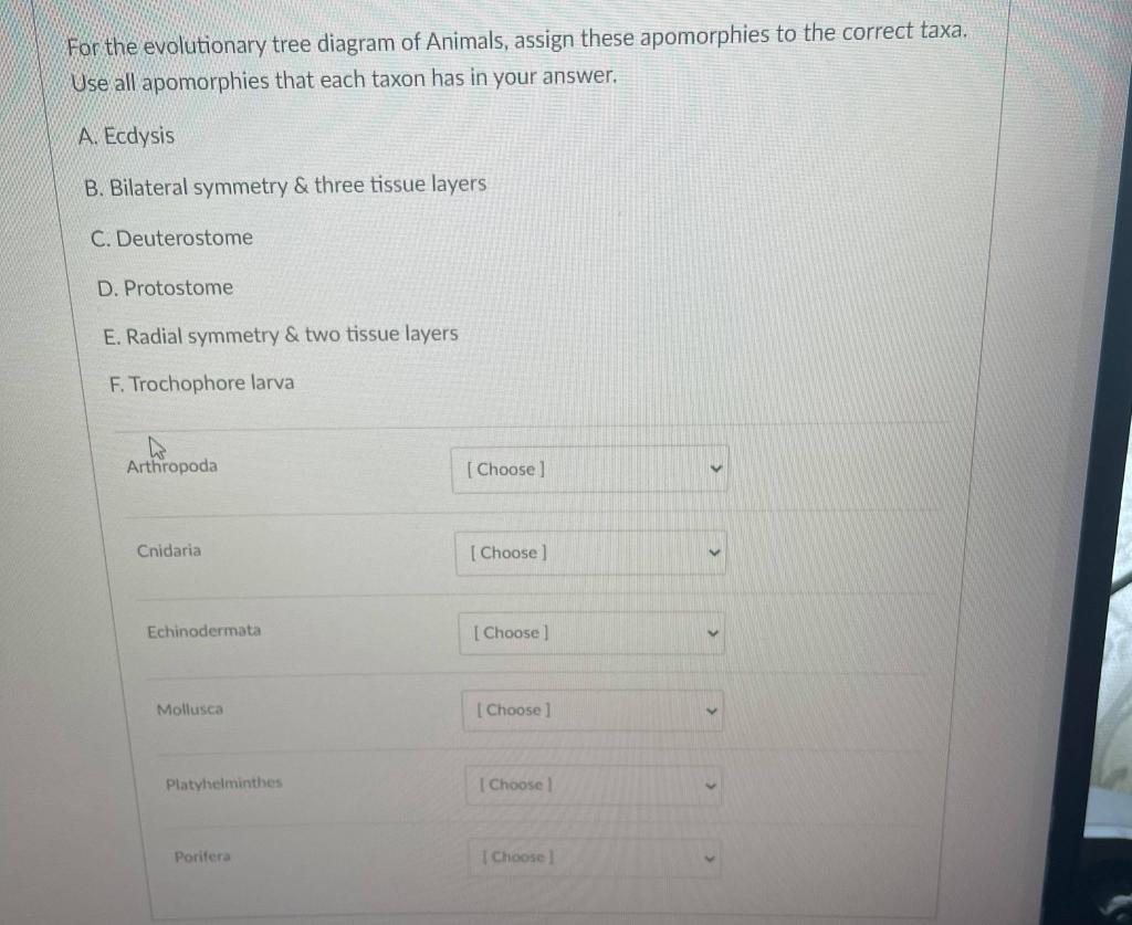 Solved For the evolutionary tree diagram of Animals, assign | Chegg.com