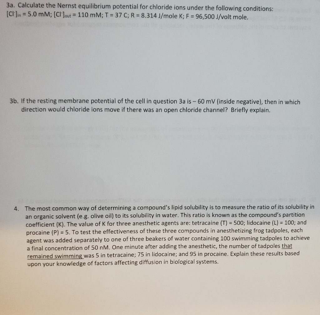 Solved 3a. Calculate the Nernst equilibrium potential for | Chegg.com