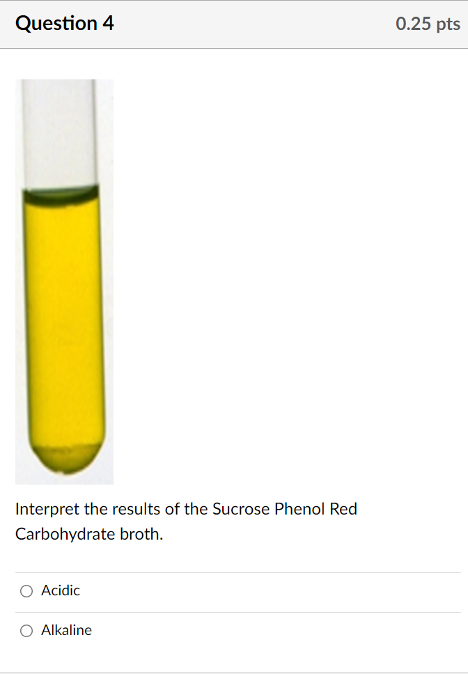 Solved Question 2 0.25 pts Interpret the results of the | Chegg.com