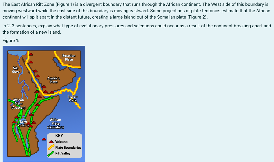 Solved The East African Rift Zone (Figure 1) is a divergent | Chegg.com